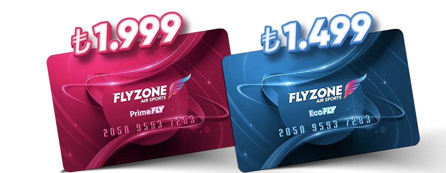 Flyzone | Bilet